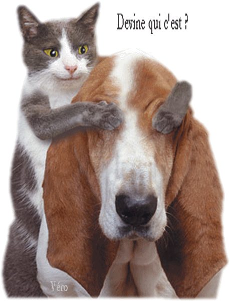 gifs animés - Page 341